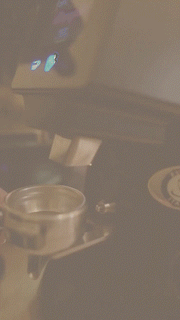 Visit us – Alice Good