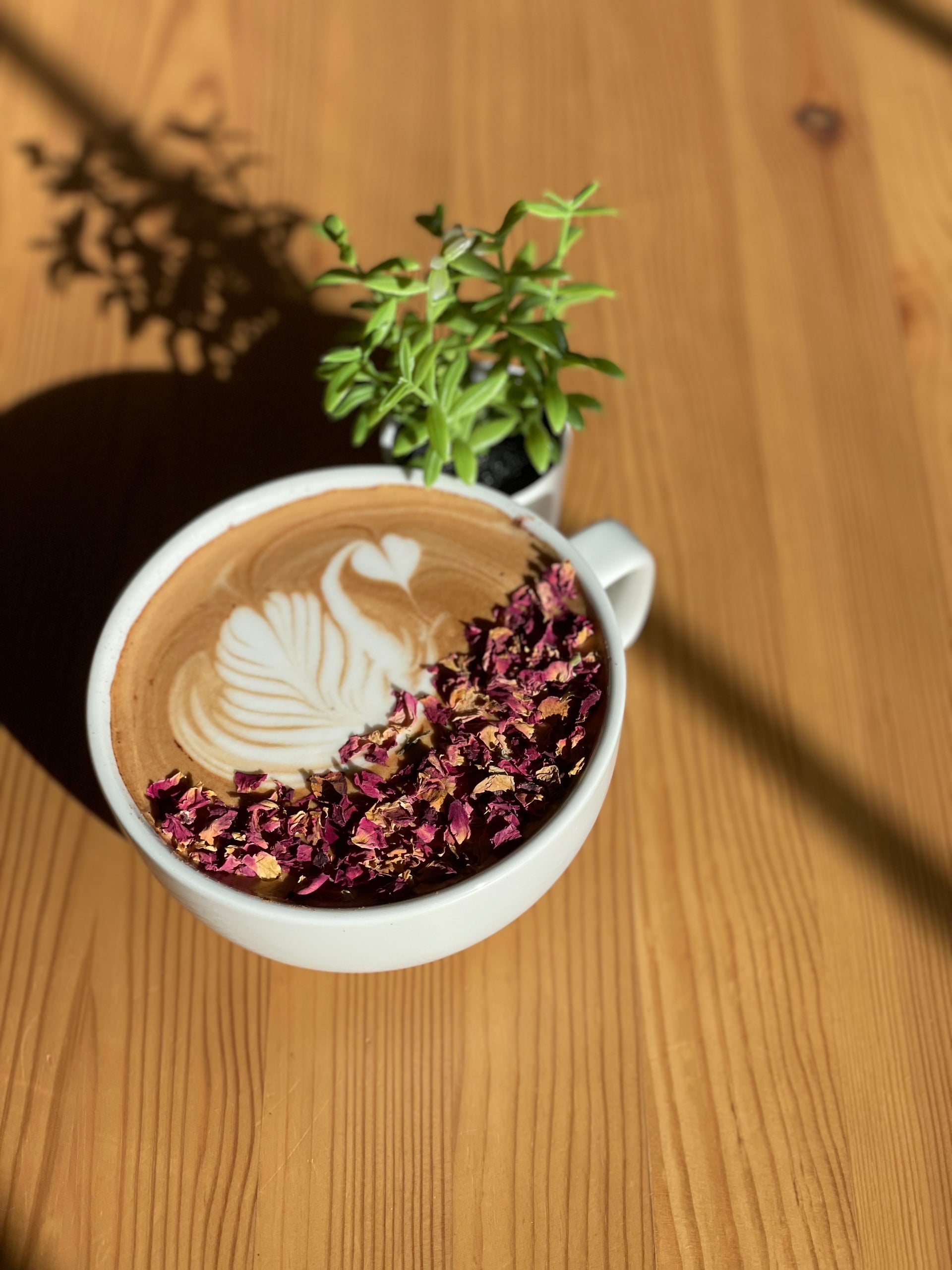 Alice Good | Specialists in Colombian Coffee